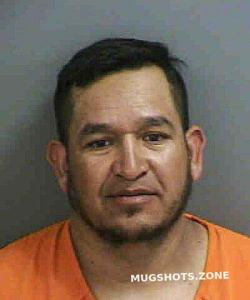 VALENCIA NORBERTO ALONSO 01/29/2023 - Collier County Mugshots Zone