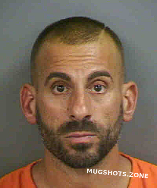 SALAMONE NICHOLAS ANTHONY 02/02/2023 - Collier County Mugshots Zone