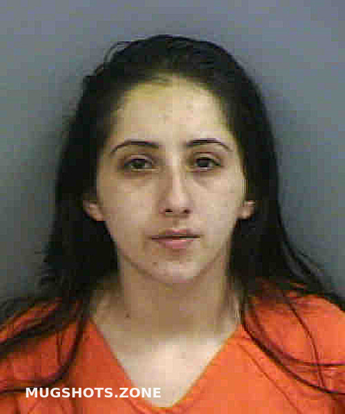Gutierrez Jennifer 02 03 2023 Collier County Mugshots Zone