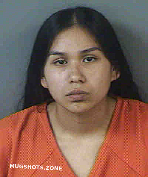 Jimmie Ramona 02 03 2023 Collier County Mugshots Zone