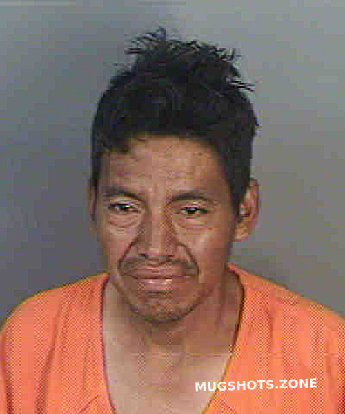 Lopez Santiago 02 06 2023 Collier County Mugshots Zone