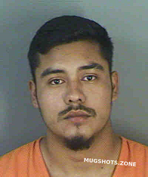 PEREZ-PINTO LUIS ALBERTO 02/26/2023 - Collier County Mugshots Zone