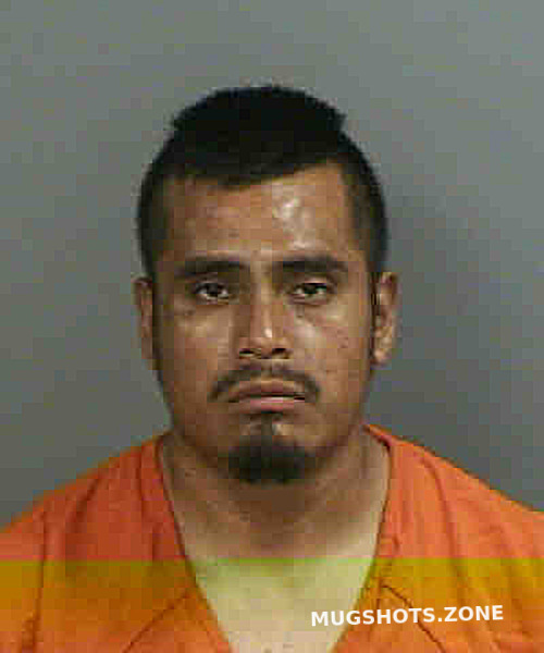 RAMIREZVELASQUEZ ELI 03/12/2023 - Collier County Mugshots Zone