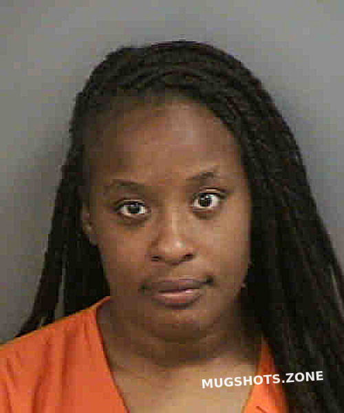 HUDSON ARIYAN 03/25/2023 - Collier County Mugshots Zone
