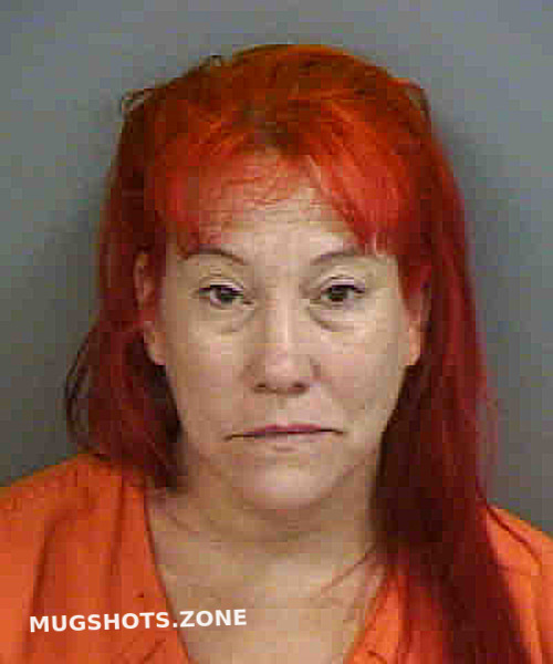 Leon Dayami 04 01 2023 Collier County Mugshots Zone