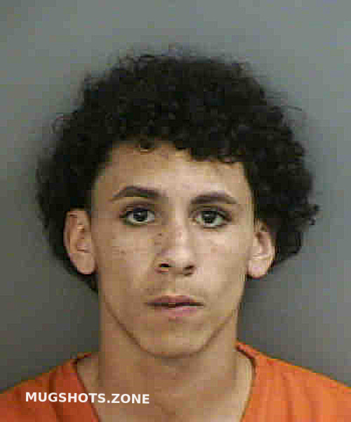 Johnson Shaun 04 07 2023 Collier County Mugshots Zone