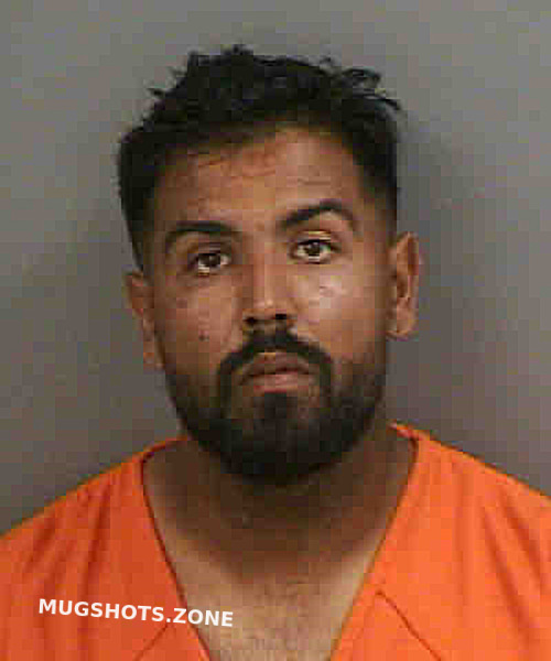 Chiriac Nelutu 04 10 2023 Collier County Mugshots Zone
