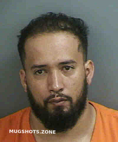 Velasquezgonzalez David 04 10 2023 Collier County Mugshots Zone
