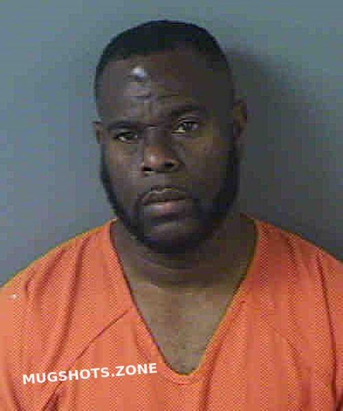 RILEY WILSON LERON 04/10/2023 - Collier County Mugshots Zone