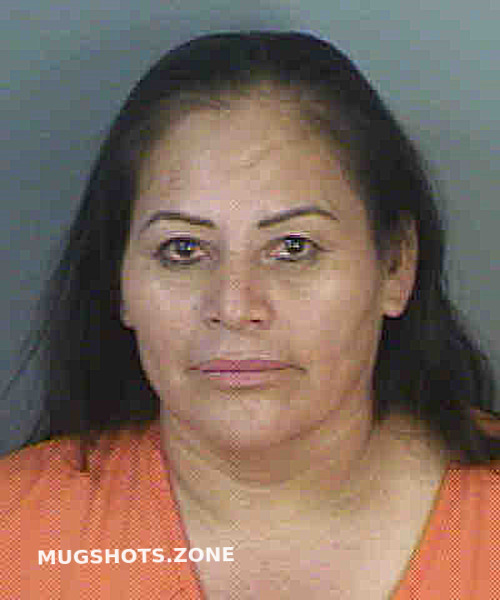 GASPAR CLAUDIA 04/17/2023 - Collier County Mugshots Zone