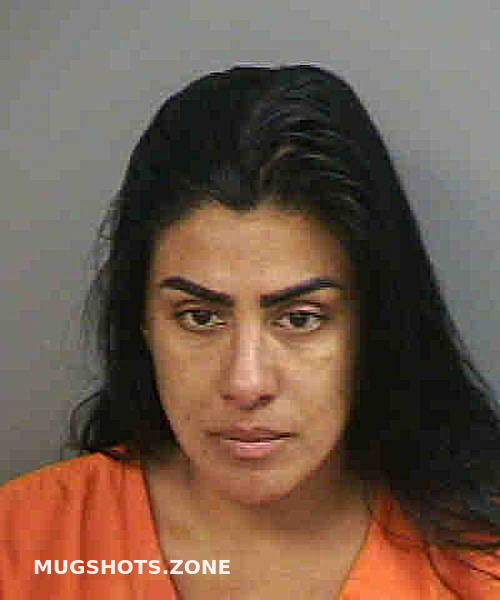 NEPOLINARES MARIA 04/24/2023 - Collier County Mugshots Zone