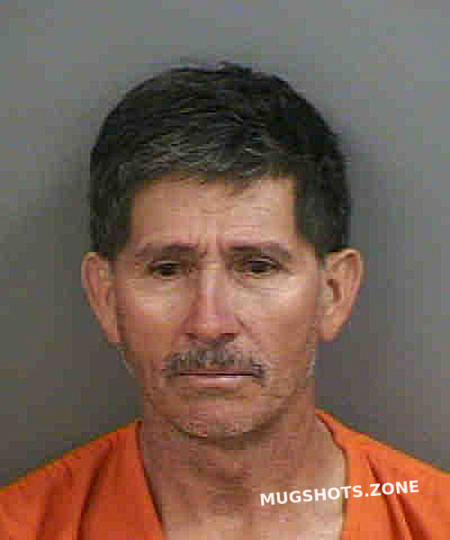 FLORESURRITIA MAURICIO 04/25/2023 - Collier County Mugshots Zone