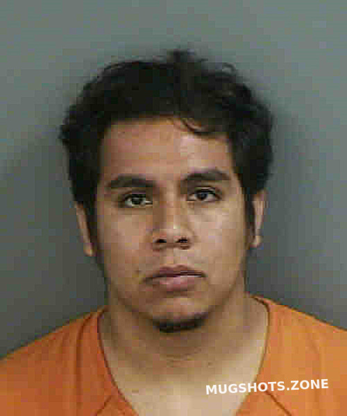FLORES SEBASTIAN 04/25/2023 - Collier County Mugshots Zone