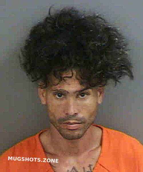CARMENATES-RIVERO NELSON 04/25/2023 - Collier County Mugshots Zone