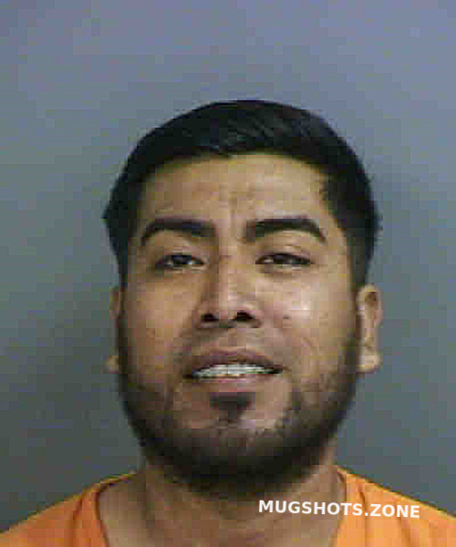 RAMIREZ BERTIN 05/05/2023 - Collier County Mugshots Zone