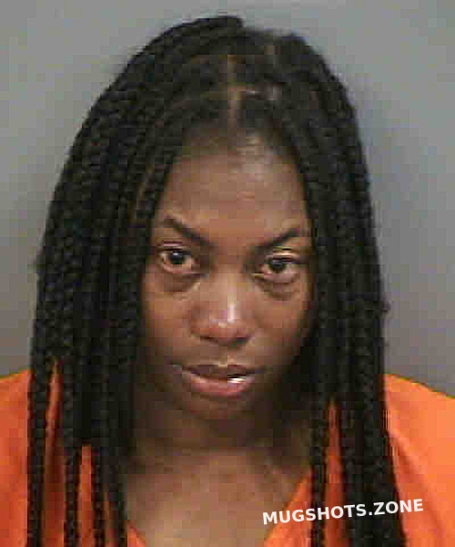 WARD ERICA N 05/11/2023 - Collier County Mugshots Zone