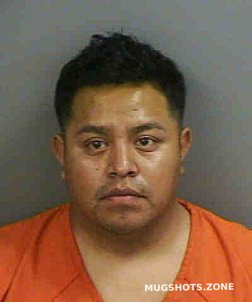 MATIAS RENE PABLO 05/28/2023 - Collier County Mugshots Zone