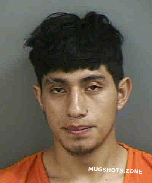 ROBLEROJUAREZ ILMER ARODY 06/04/2023 - Collier County Mugshots Zone