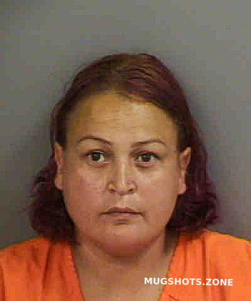 LAZZARO ANITA MARIE 06/07/2023 - Collier County Mugshots Zone