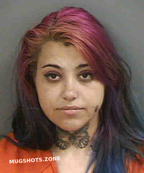 VALVERDE RACHEL ELIZABETH 06/09/2023 - Collier County Mugshots Zone