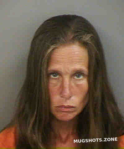GOODWIN MICHELLE ROSE 06/16/2023 - Collier County Mugshots Zone