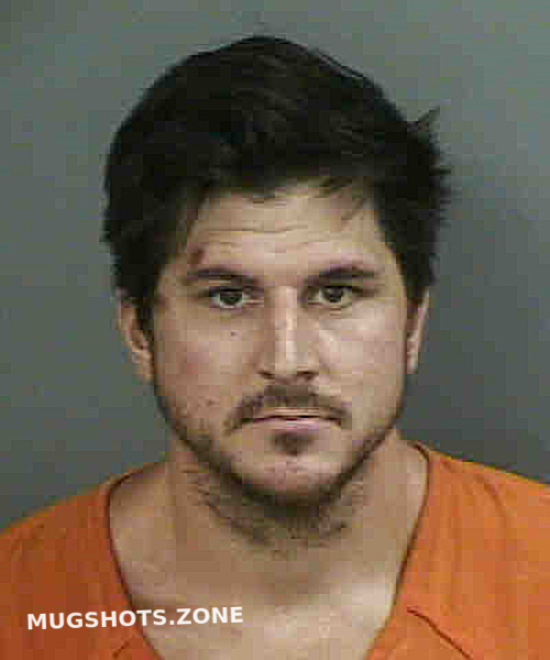 GRIMES RICHARD JR 06/22/2023 - Collier County Mugshots Zone