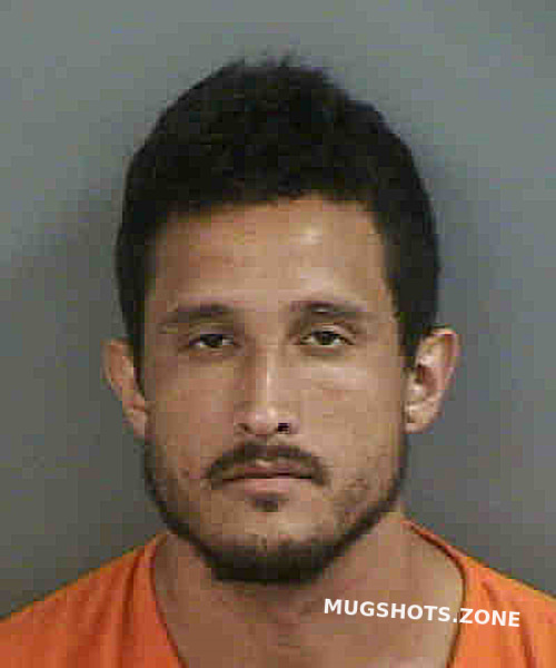 VALENCIA MATTHEW CURTIS 06/28/2023 - Collier County Mugshots Zone