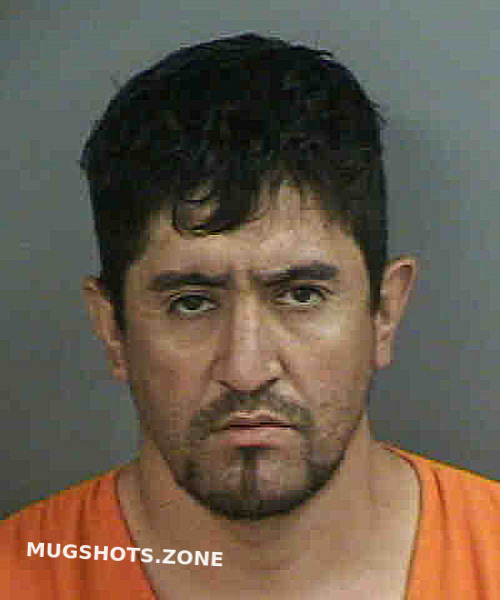 Alvizures Luis 07 21 2023 Collier County Mugshots Zone