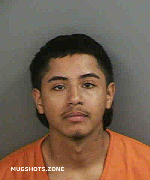 SANTIAGO SAMUEL 07/25/2023 - Collier County Mugshots Zone