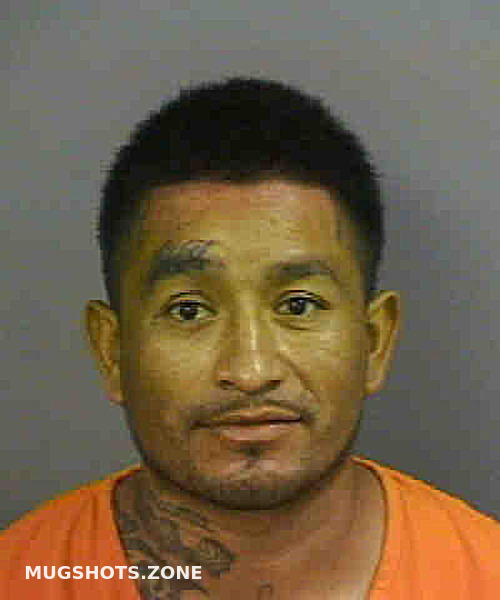 SUAREZ-TREJO ESTEBAN 07/27/2023 - Collier County Mugshots Zone