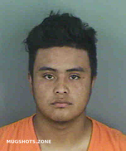 JERONIMO-CARRILLO EBER 07/29/2023 - Collier County Mugshots Zone