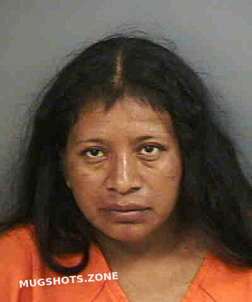 MORALESVASQUEZ MARTINA 08/05/2023 - Collier County Mugshots Zone
