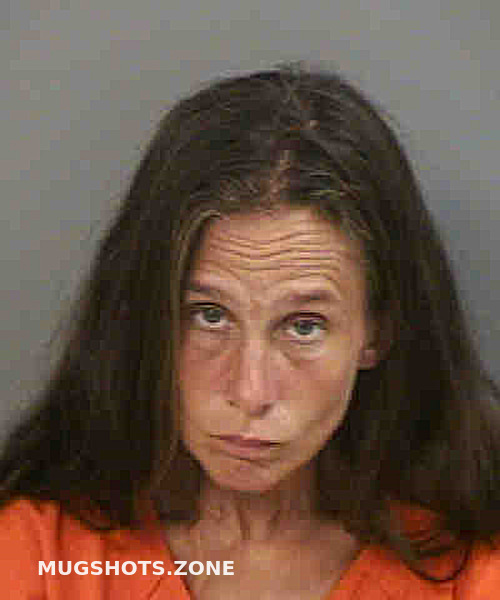 GOODWIN MICHELLE ROSE 08/07/2023 - Collier County Mugshots Zone