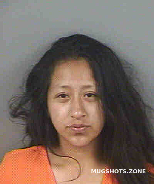 RAMIREZ MARIA 08/10/2023 - Collier County Mugshots Zone