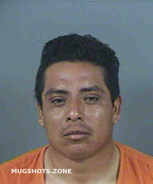 Laureanomatas Jose 08 12 2023 Collier County Mugshots Zone