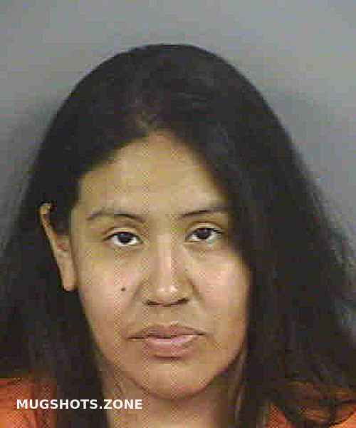 CASTILLO PRISCILLA 08/23/2023 - Collier County Mugshots Zone