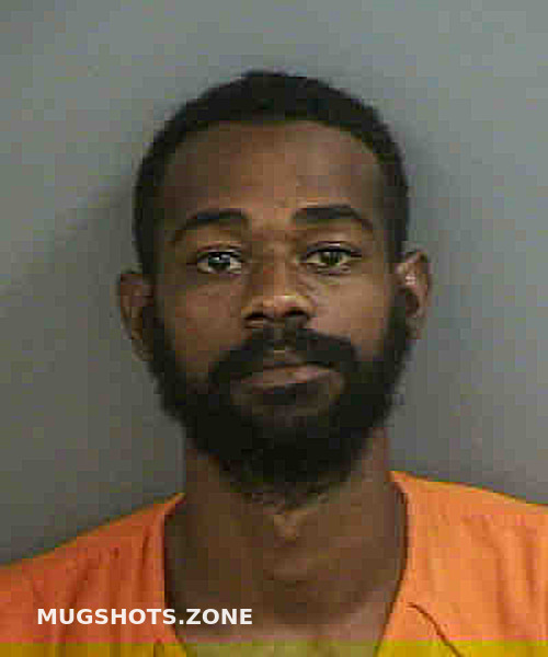 BEARFIELD MICHAEL LINK 08/27/2023 - Collier County Mugshots Zone