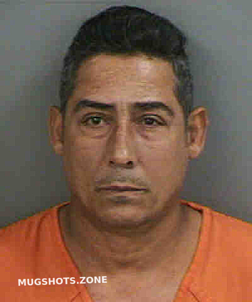 PINEIROPITA JAVIER 09/14/2023 - Collier County Mugshots Zone