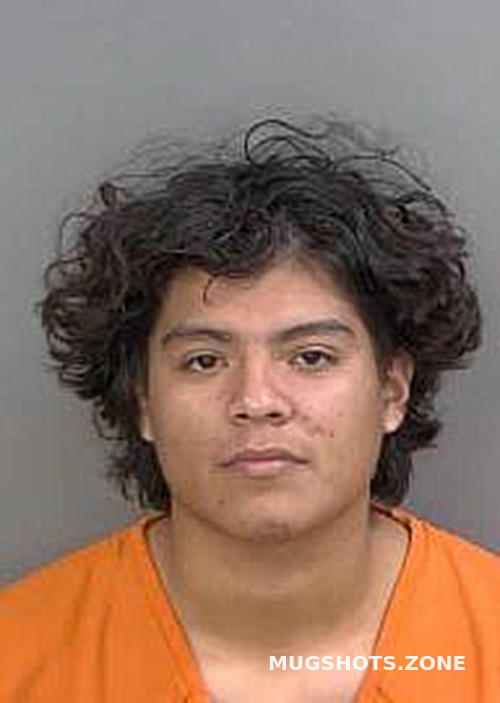 Jaimes Giovanni 10 24 2023 Collier County Mugshots Zone