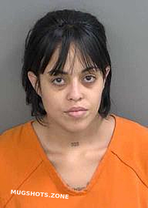 DIAZLOPEZ CHAVELYS 10/28/2023 - Collier County Mugshots Zone