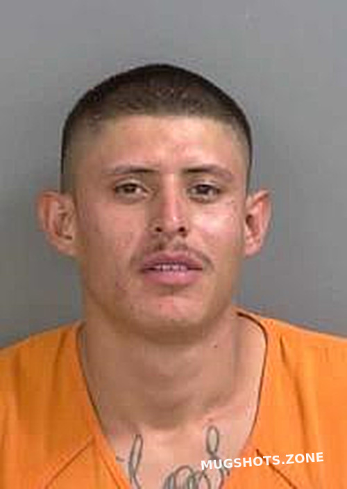 Rodriguezpadilla Luis 10 29 2023 Collier County Mugshots Zone