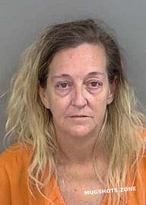 MCMULLAN RONDA 10/30/2023 - Collier County Mugshots Zone