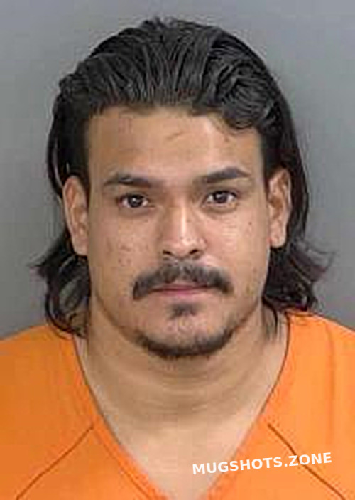 TORRESVELEZ RICHARD ELI 10/30/2023 - Collier County Mugshots Zone