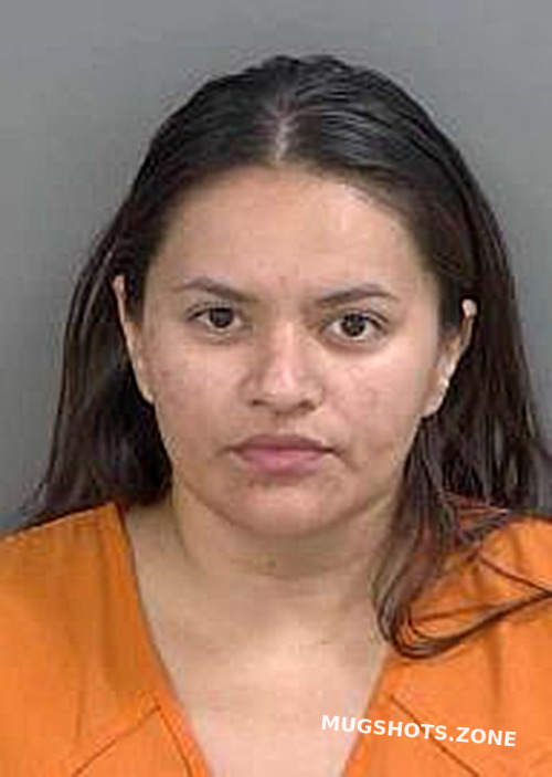 ADAME LISA MARIE 10/30/2023 - Collier County Mugshots Zone