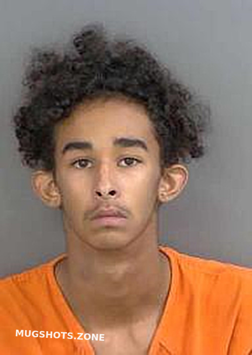 GONZALEZMARTINEZ DYLAN OLIVER 12/03/2023 - Collier County Mugshots Zone