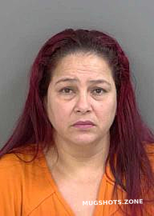 HERNANDEZ-ALVAREZ ZAILYN ESTELA 12/13/2023 - Collier County Mugshots Zone