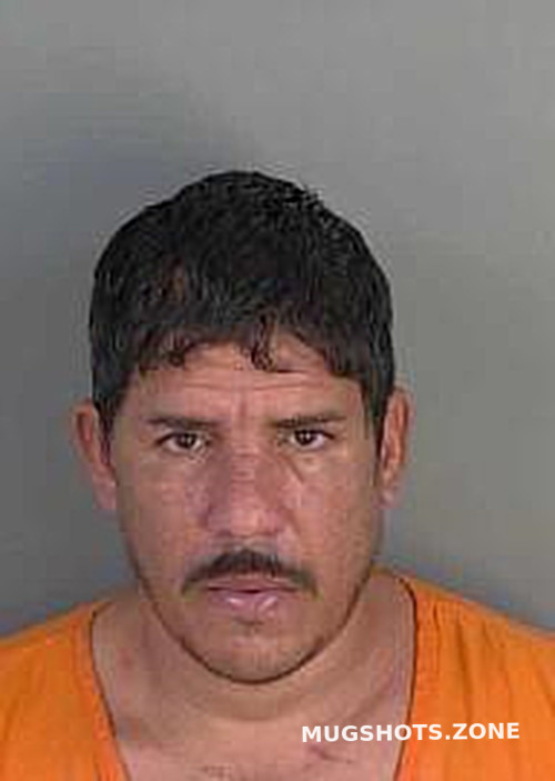 ROLON FERNANDO LUIS JR 12/20/2023 - Collier County Mugshots Zone