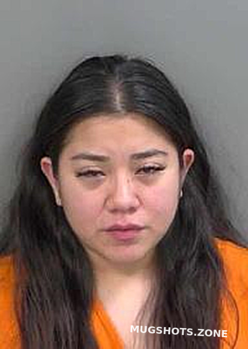 Lovos Vanessa 12 29 2023 Collier County Mugshots Zone