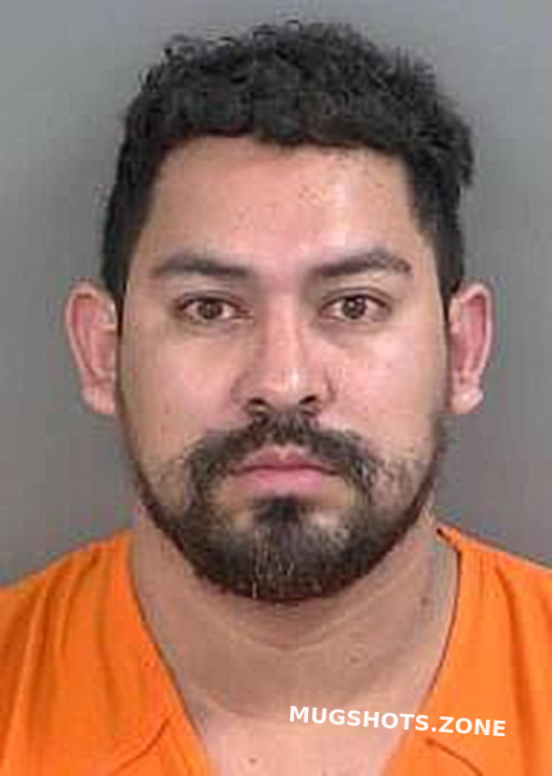 FLORESGARAY FERNANDO 01/10/2024 - Collier County Mugshots Zone