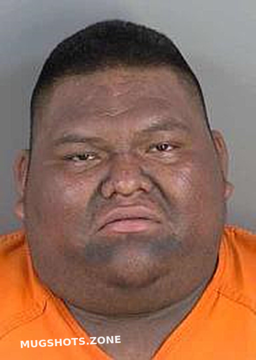 GOMEZSANCHEZ EVER 01/12/2024 - Collier County Mugshots Zone